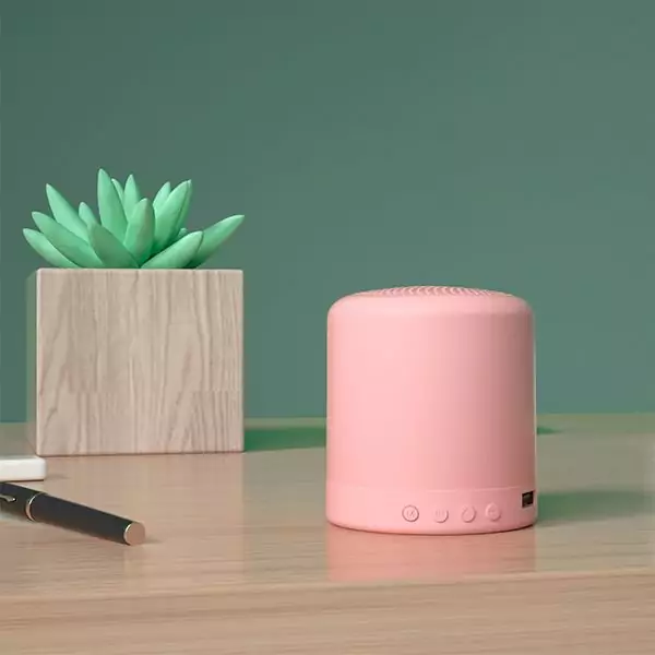 Custom Macaron Speaker - GiftOne